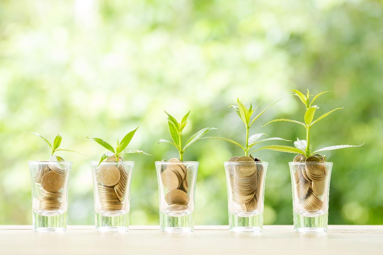 How To Raise Funds For Startup Companies Exorbit